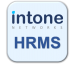 Intone - Delivering information technology consulting solutions & services