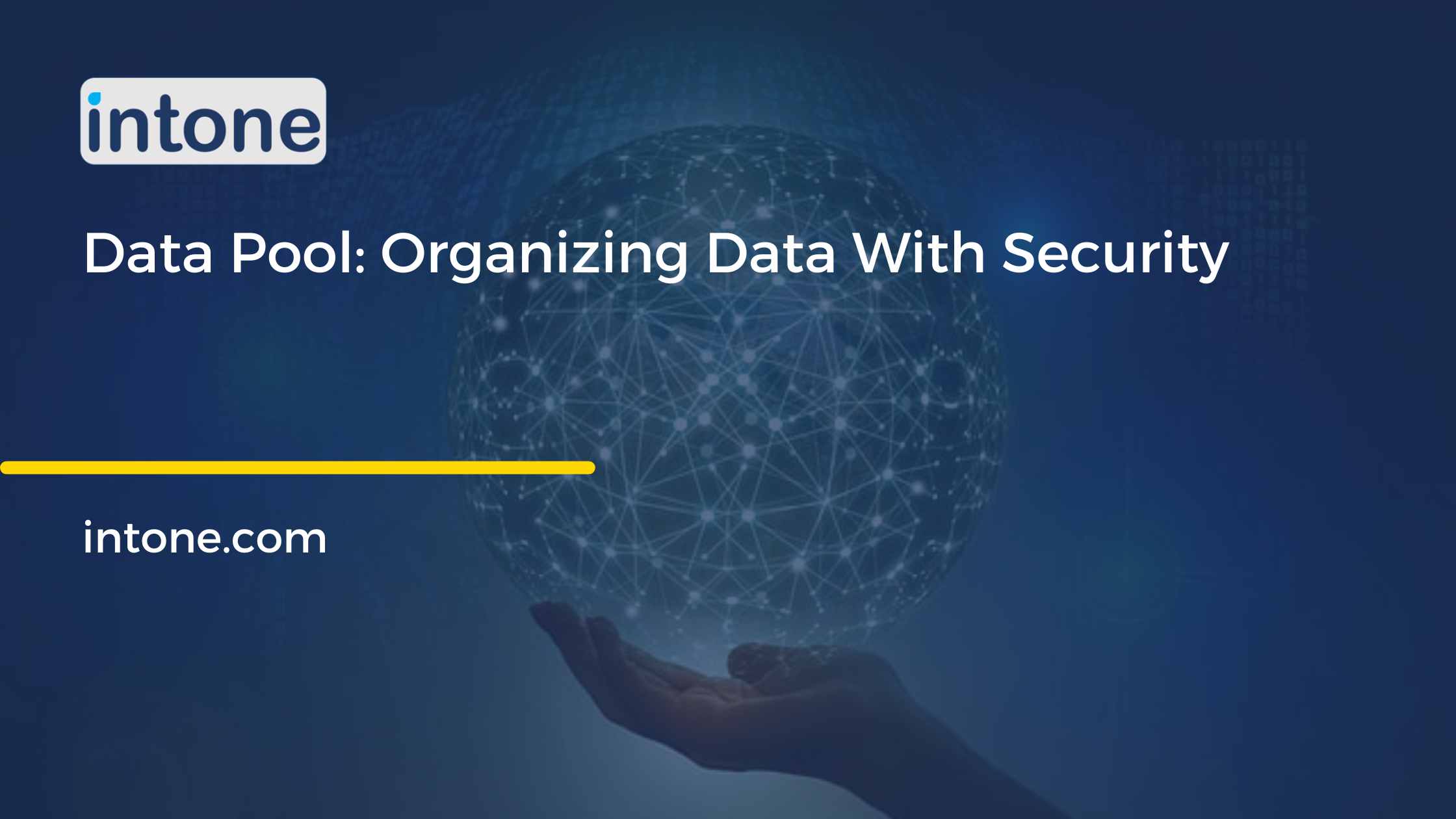 Financial and IT Professional Services Intone Networks