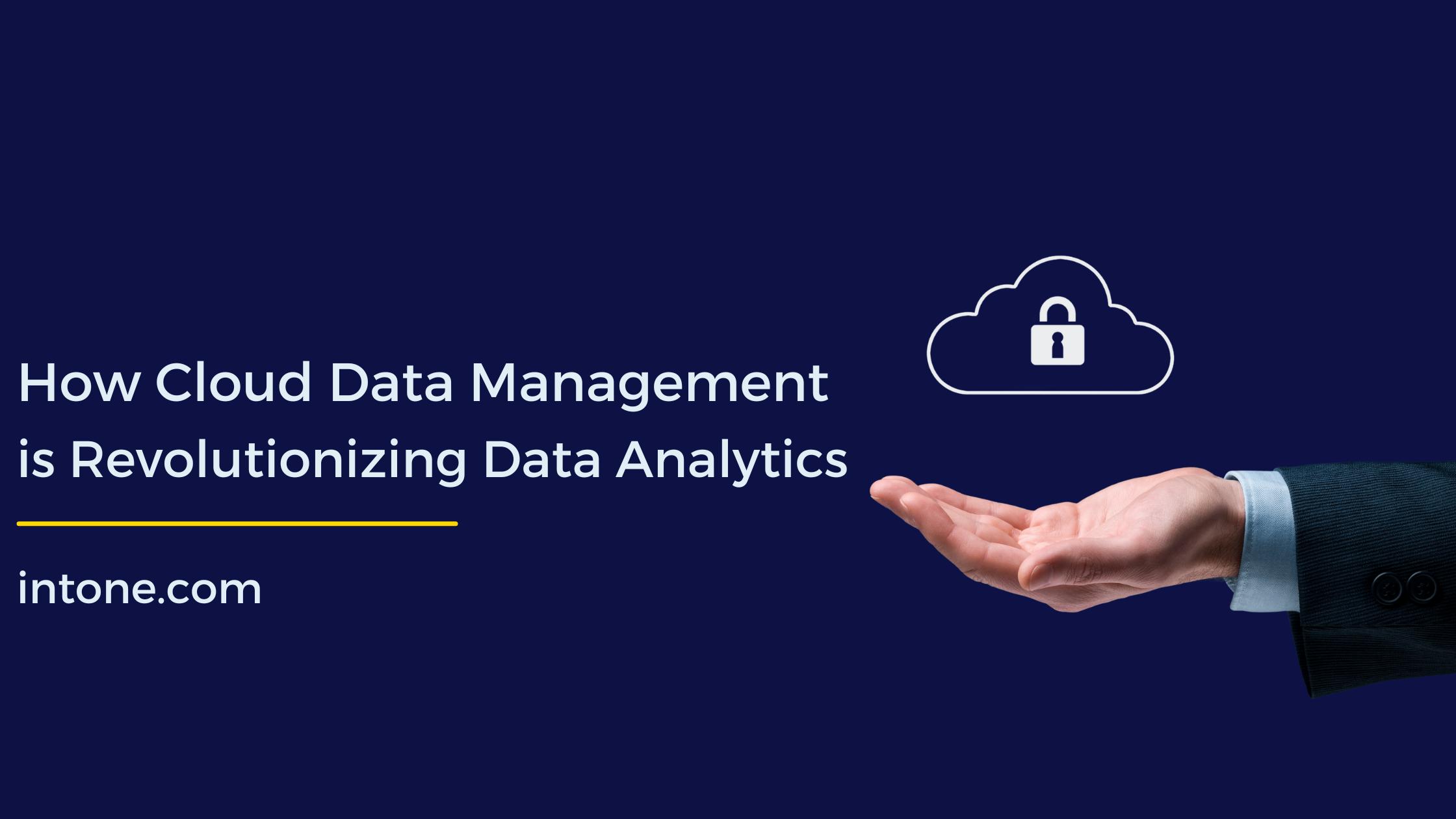 Case studies and insights in the world of IT consulting