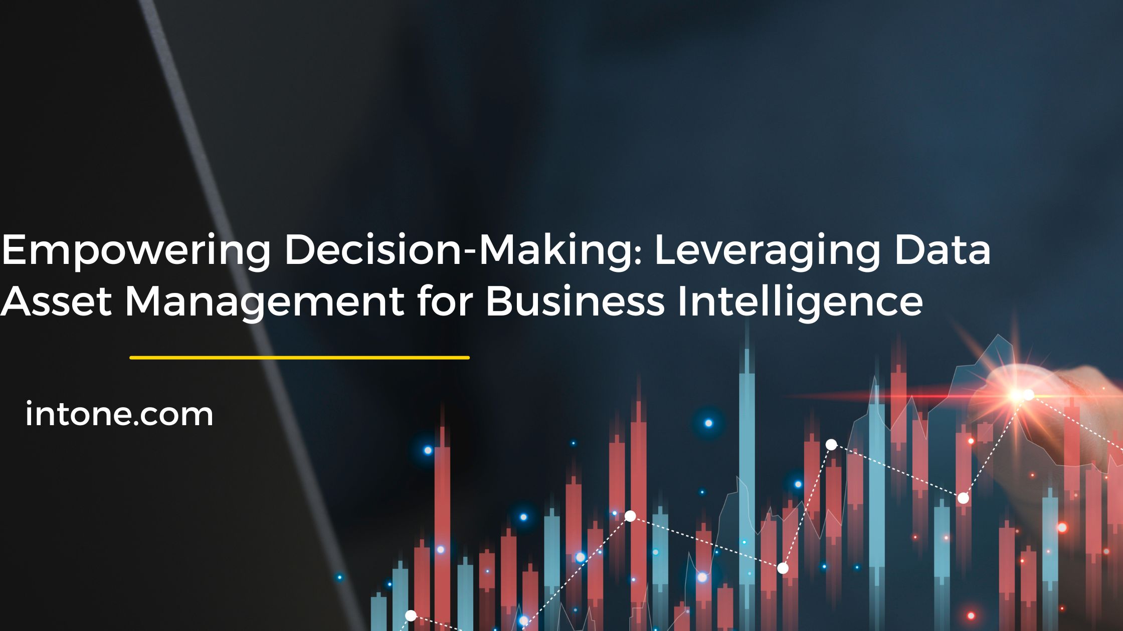 Case studies and insights in the world of IT consulting